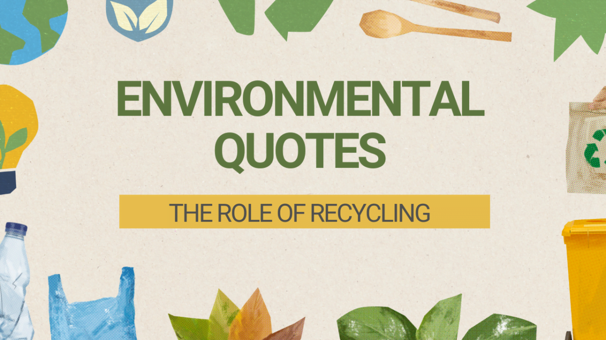 93 Environmental Quotes to Ignite Sustainability - Learn Transformation